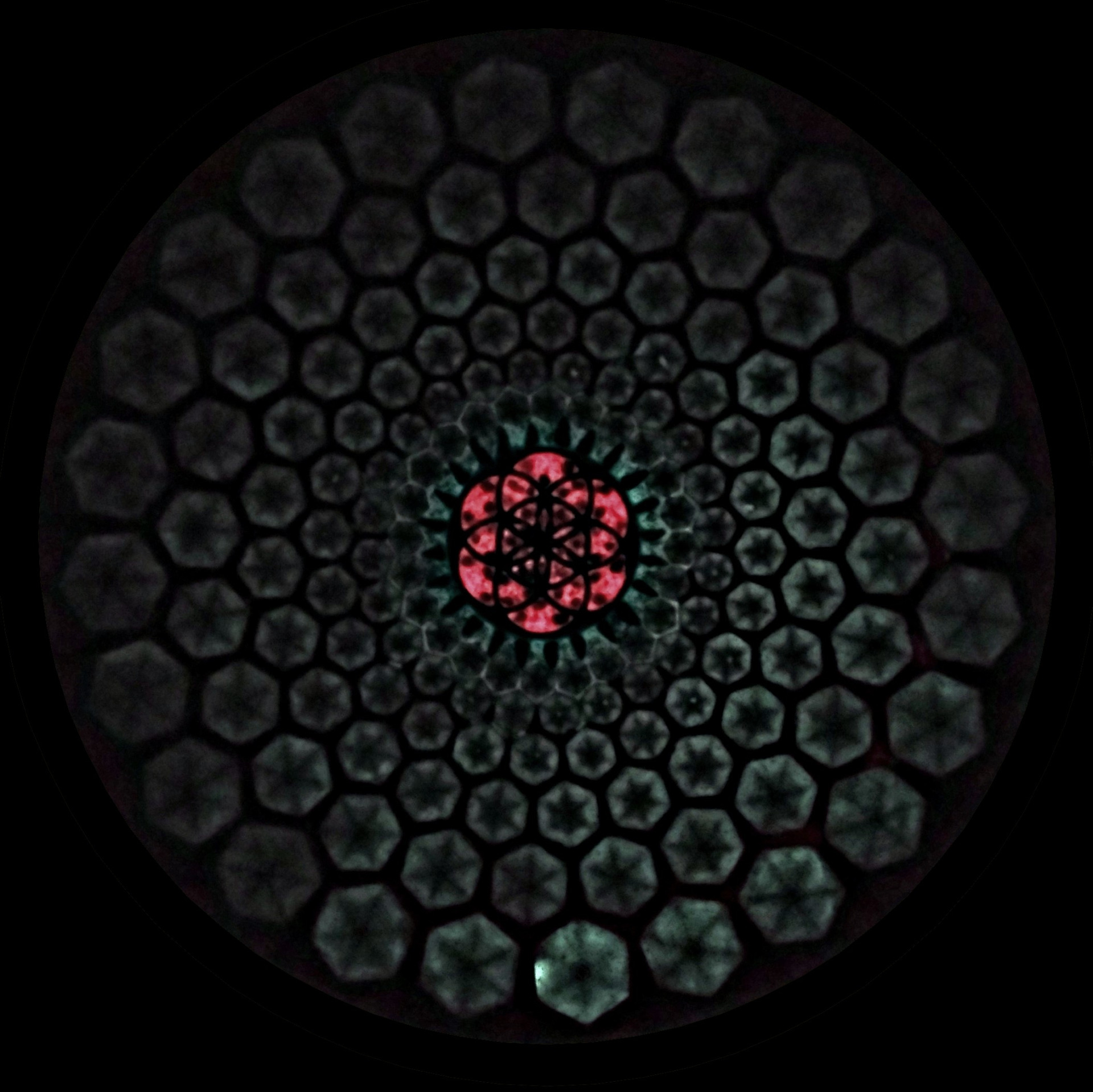 FLOW DISC ÚPRAVY :: Centrumserafin